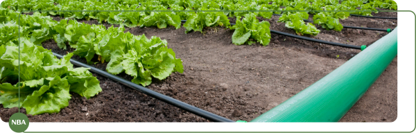 Ống Xẹp PVC Driptec - Nhà Bè Agri